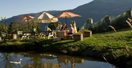 VineSmart - Salt Spring Island, BC Canada - Vineyard & Winery For Sale