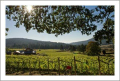 Salt Spring Island, BC Canada - Vineyard & Winery For Sale