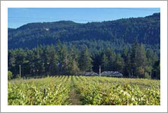 Salt Spring Island, BC Canada - Vineyard & Winery For Sale